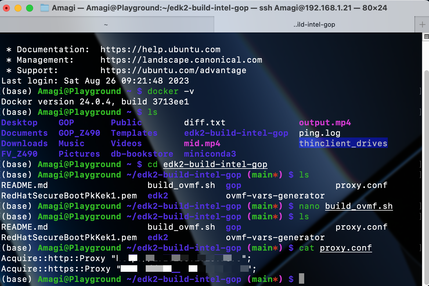 教程：定制 OVMF 固件 实现PVE 8 UEFI 模式 直通 Intel 核显并显示 BIOS - Amagiii 的破站Amagiii 的破站